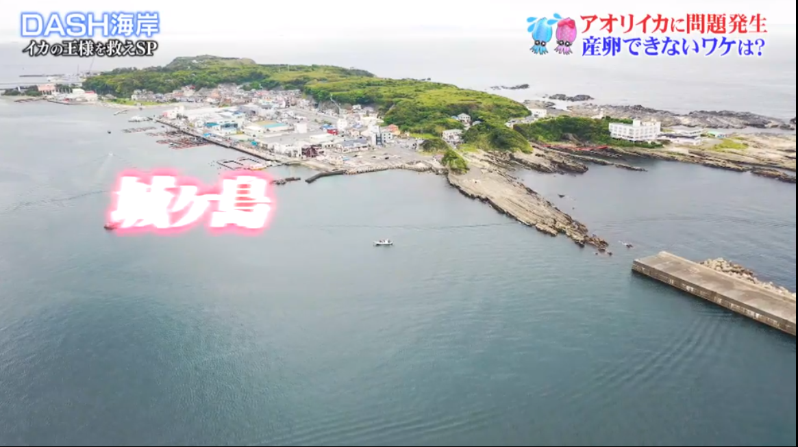 ザ！鉄腕！DASH！に水中ドローン『CAHSING M2』登場！ – airocean